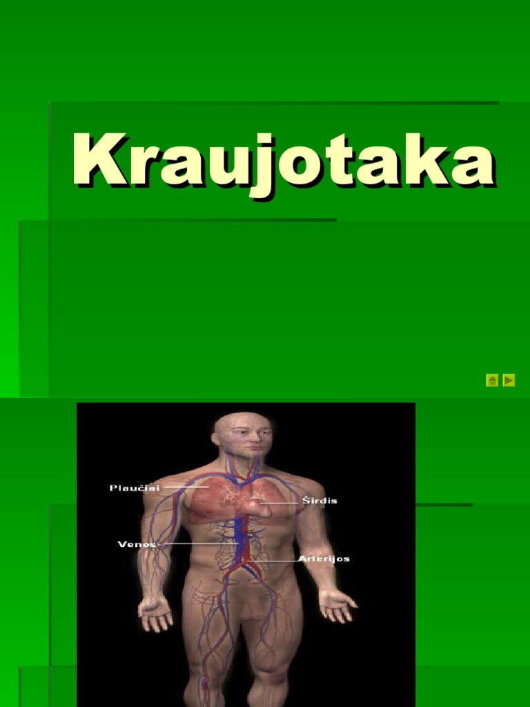 Kraujotaka Ir Kraujo Apytakos Ratai | PDF