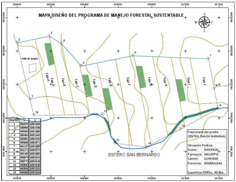 Mapa Diseño Del Manejo Forestal Sustentable | PDF