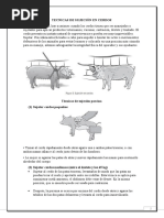 Allobates niputidea: Especie Única | PDF | Taxonomía (biología) | Género