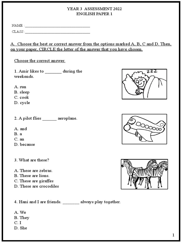 Year 3 Assessment 2022 English Paper 1 | PDF