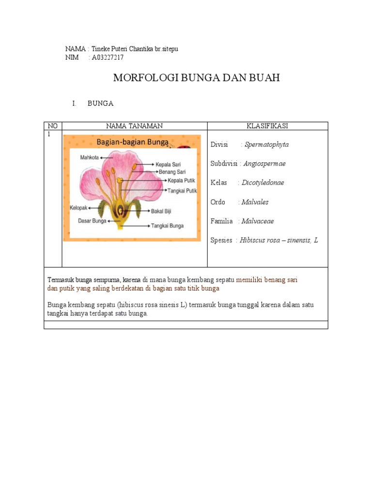 Morfologi Bunga dan Buah Tanaman | PDF | Sains & Matematika