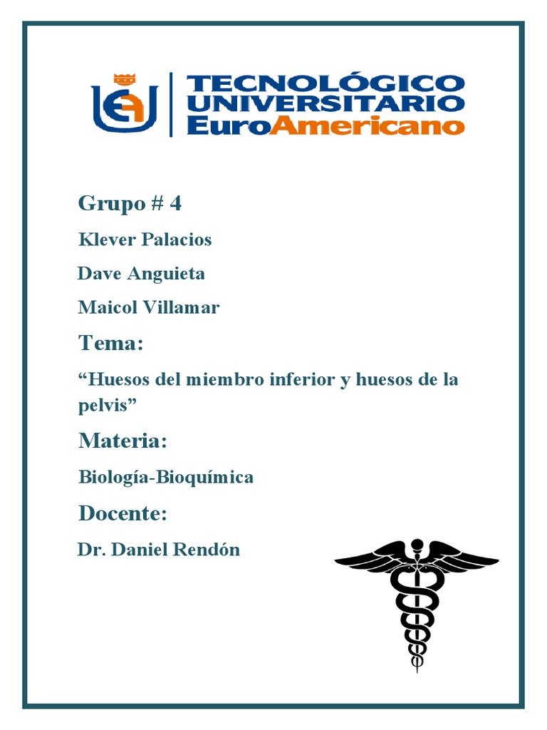 Extremidad Inferior Grupo 4 | PDF | Pelvis | Pierna humana