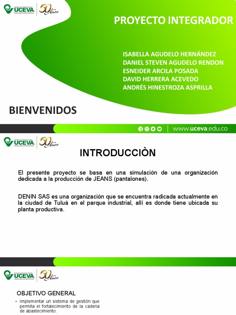 Presentacion Proyecto Integrador | PDF | Logística | Planificación