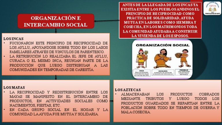 Organizacion e Intercambio Social | PDF