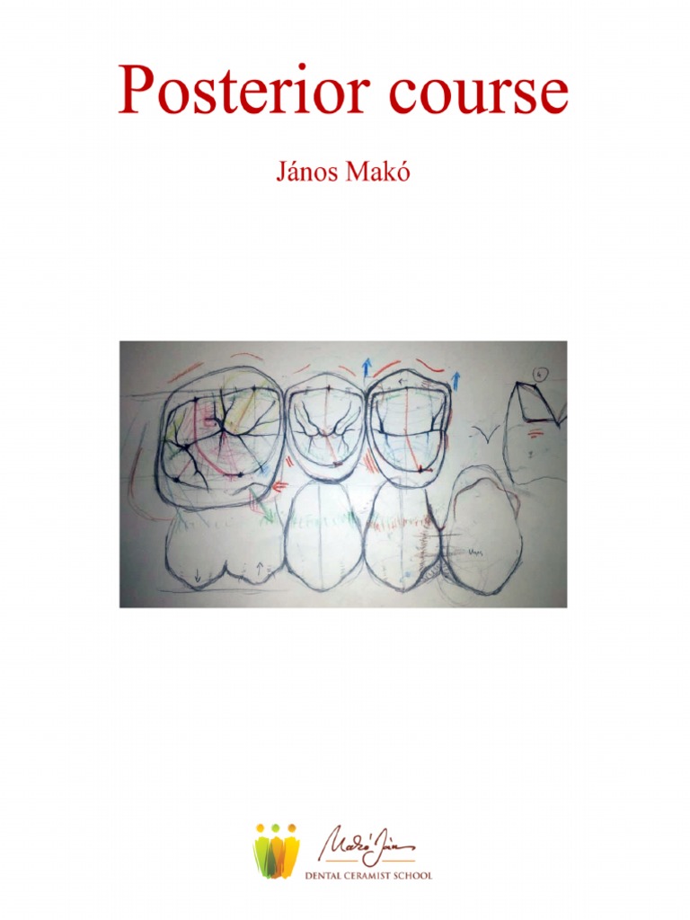 Manual Posteriores | PDF