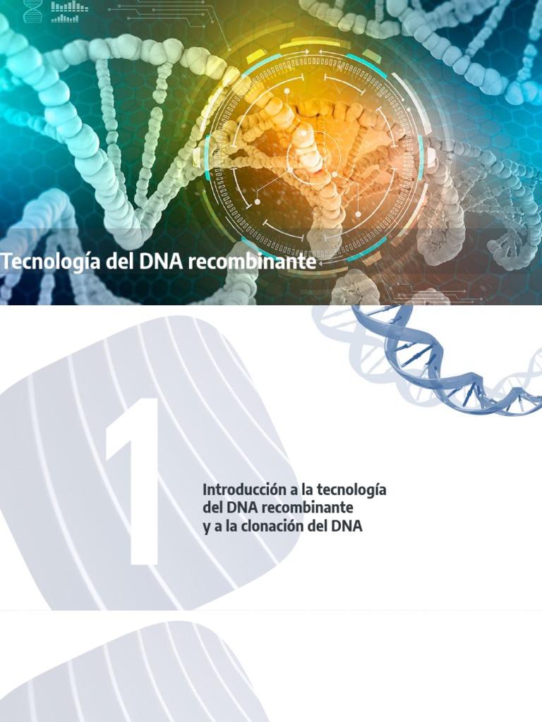 ADN Recombinante | PDF | Adn | Plásmido
