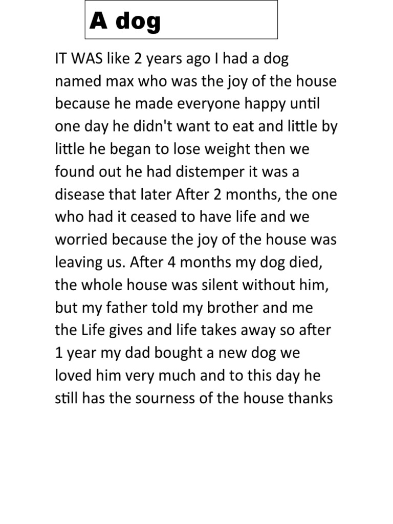 IT WAS Like 2 Years Ago I Had A Dog Named Max Who Was The Joy of The ...