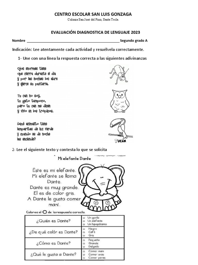 Prueba Diagnostica de Lenguaje 2 A | PDF