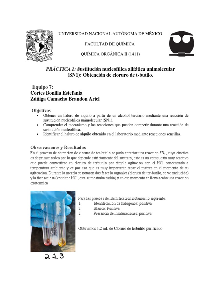 Practica 1 - Reporte QO2 | PDF | Cloruro | Ácido clorhídrico