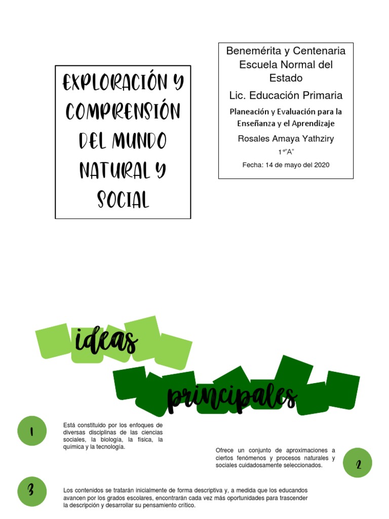 Explorando el mundo natural y social | PDF | Evaluación | Naturaleza