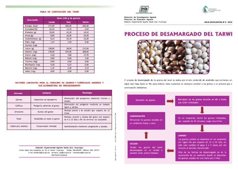 Proceso de Desamargado Tarwi | PDF