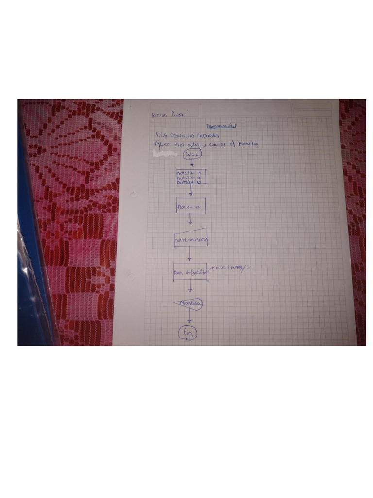 Programación 1, Damian Poder, Desarrollo de Software | PDF