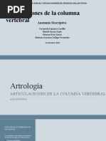 El Timo Animal | PDF