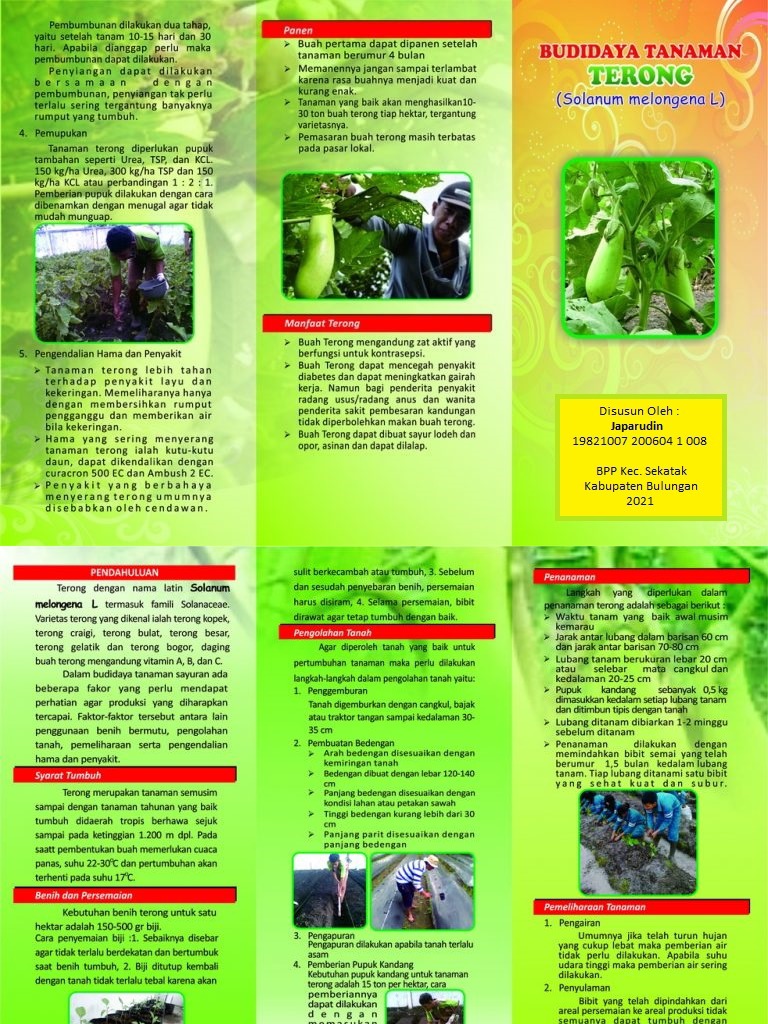 Leaflet Budidaya Terong | PDF