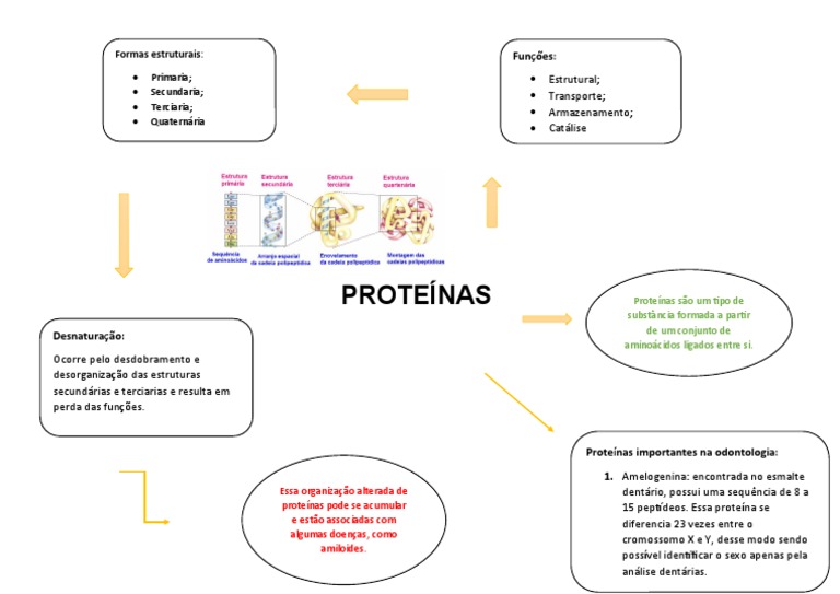 Proteinas Mapa Mental | PDF