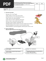 Grade 6 Reproductive System Worksheet | PDF | Reproductive System | Zoology