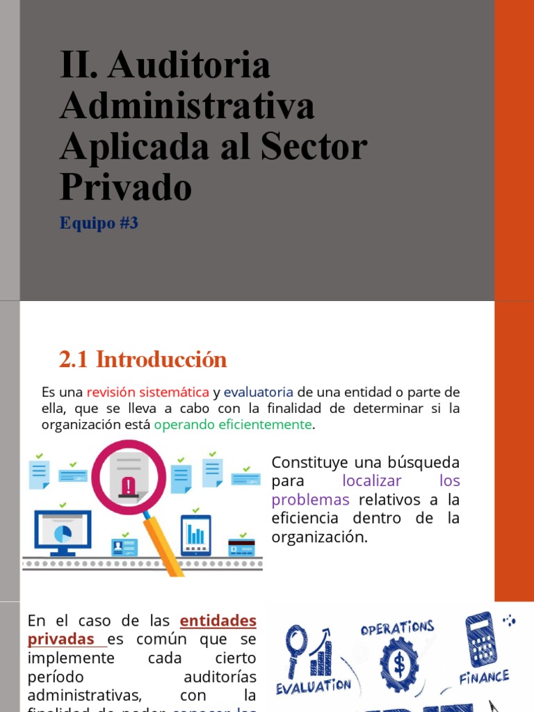 Auditoria en El Sector Privado | PDF | Auditoría | Planificación