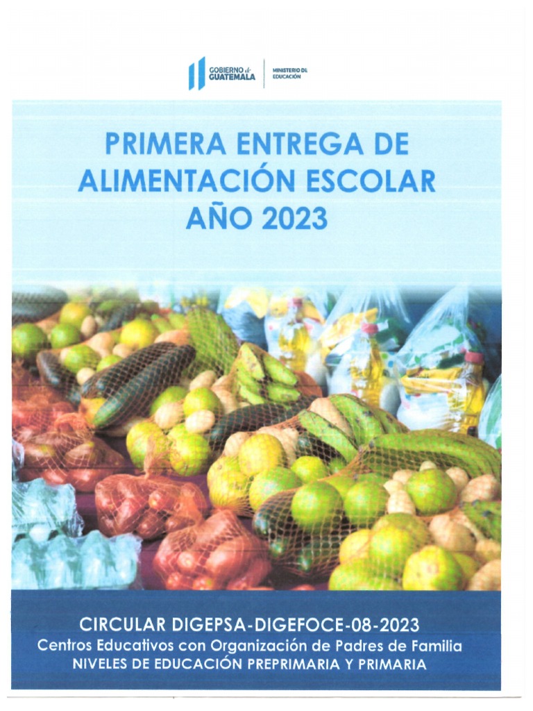 Digepsa Digefoce 08 2023 | PDF