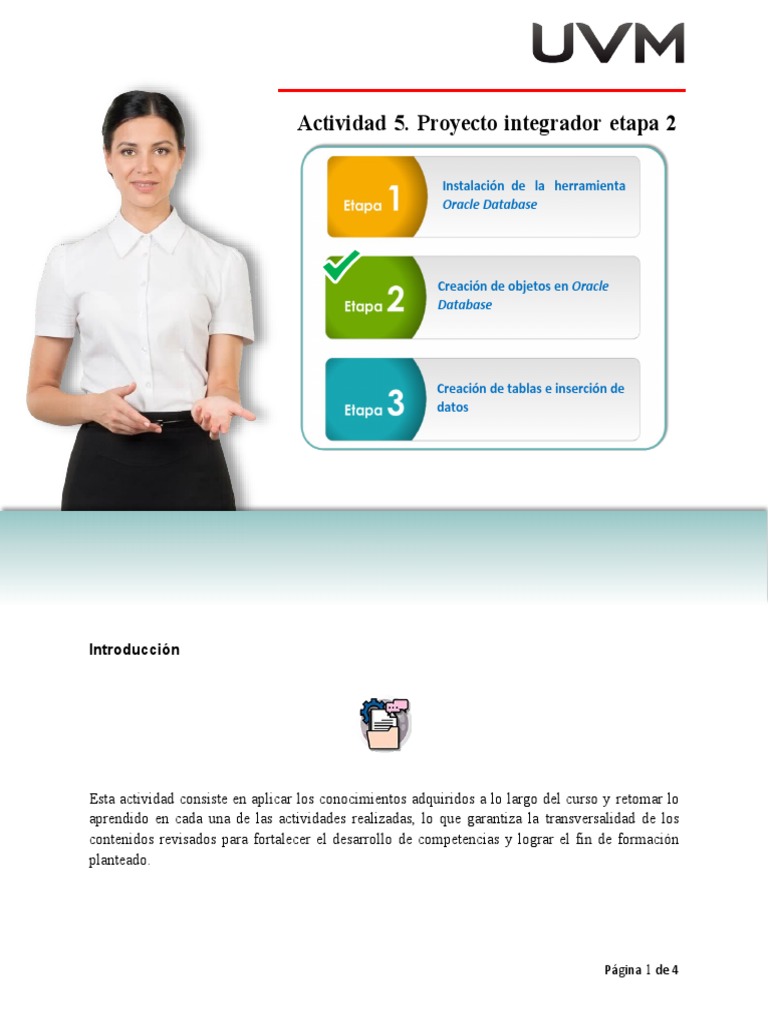 Instrucciones Proyecto E2 | PDF | Bases de datos | Oracle Corporation