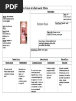 Prospecto NIFURYL | PDF | Infección del tracto urinario ...