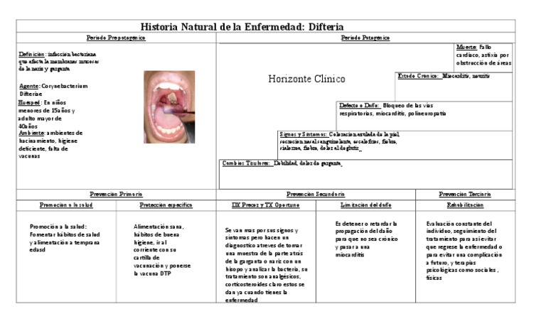 Historia de Difteria | PDF | Ciencias de la Salud | Microbiología