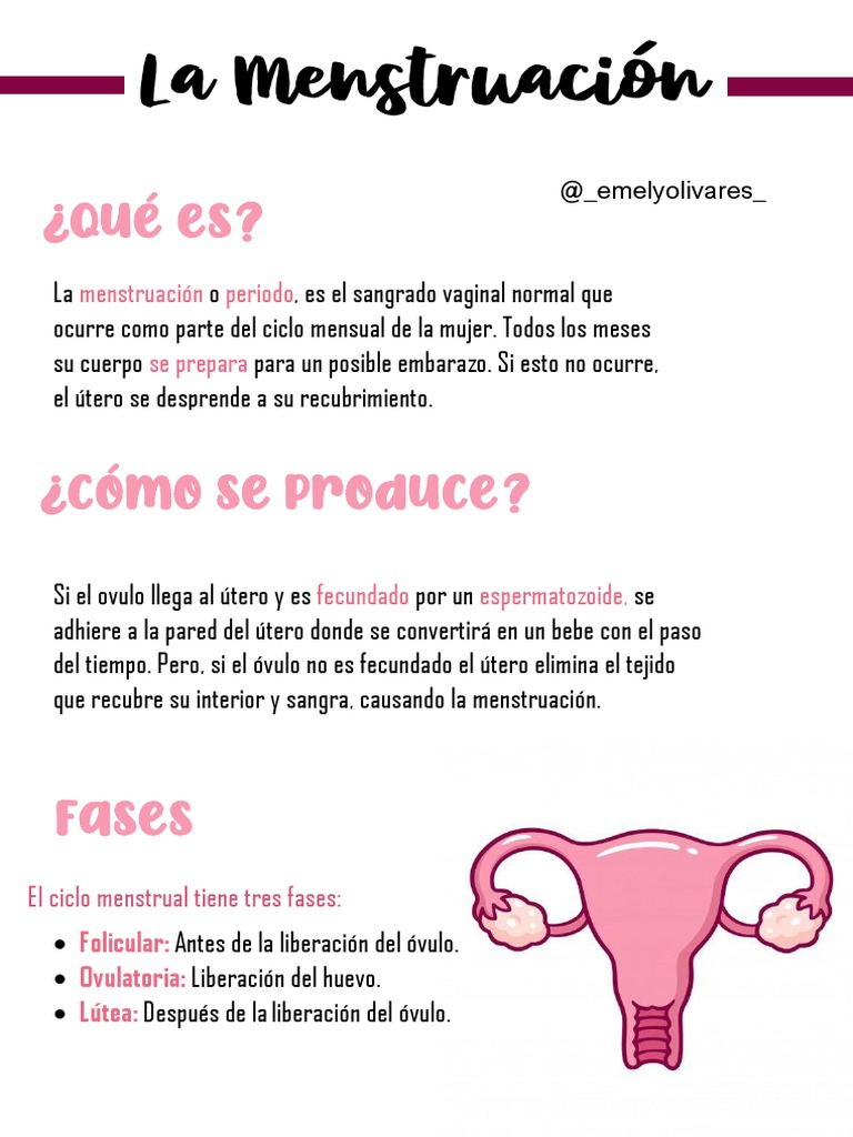 La Menstruacion. | PDF