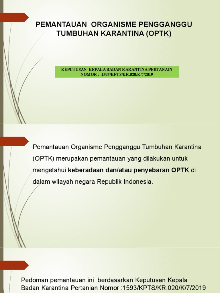 Pemantauan OPTK | PDF