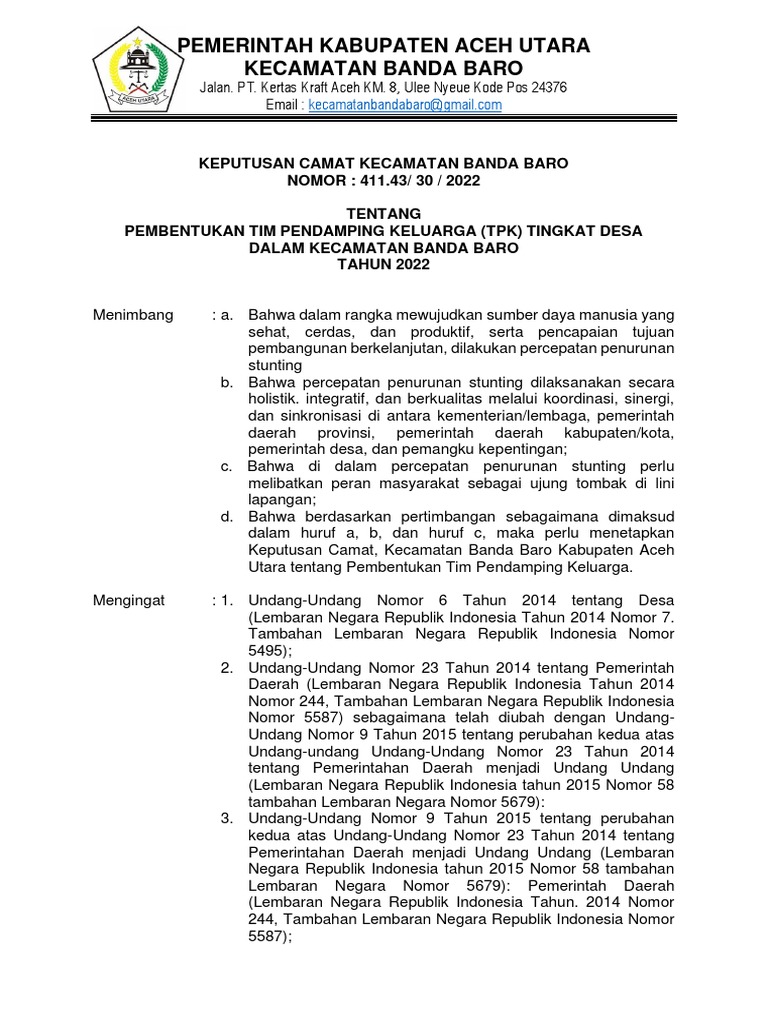 Pembentukan Tim Pendamping Keluarga | PDF