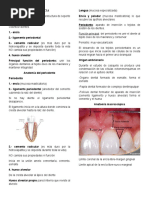 Indice Gingival Ig | PDF | Odontología | Medicina