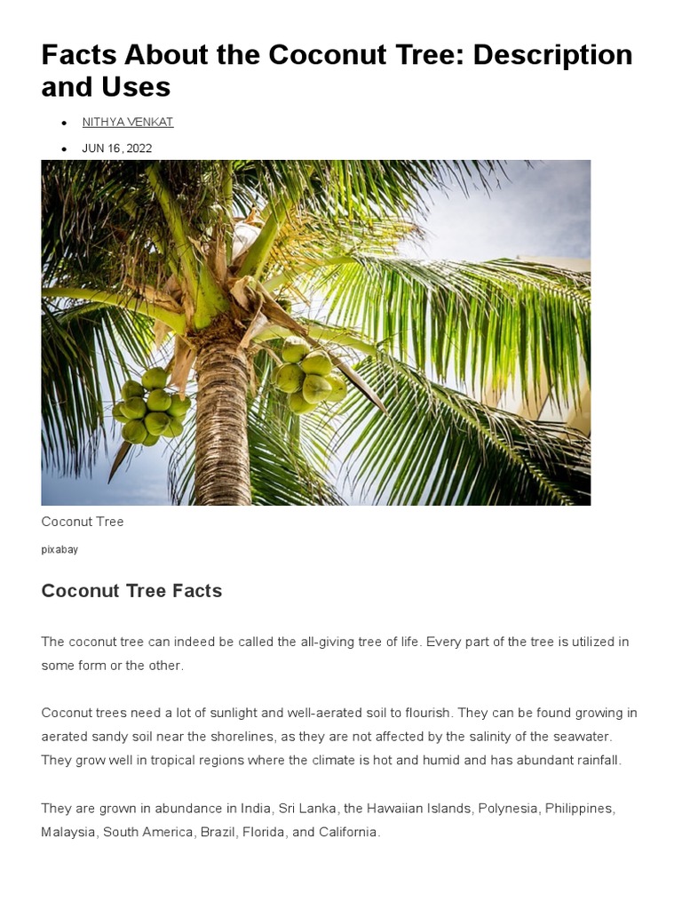 Facts About The Coconut Tree | PDF | Coconut | Fruit