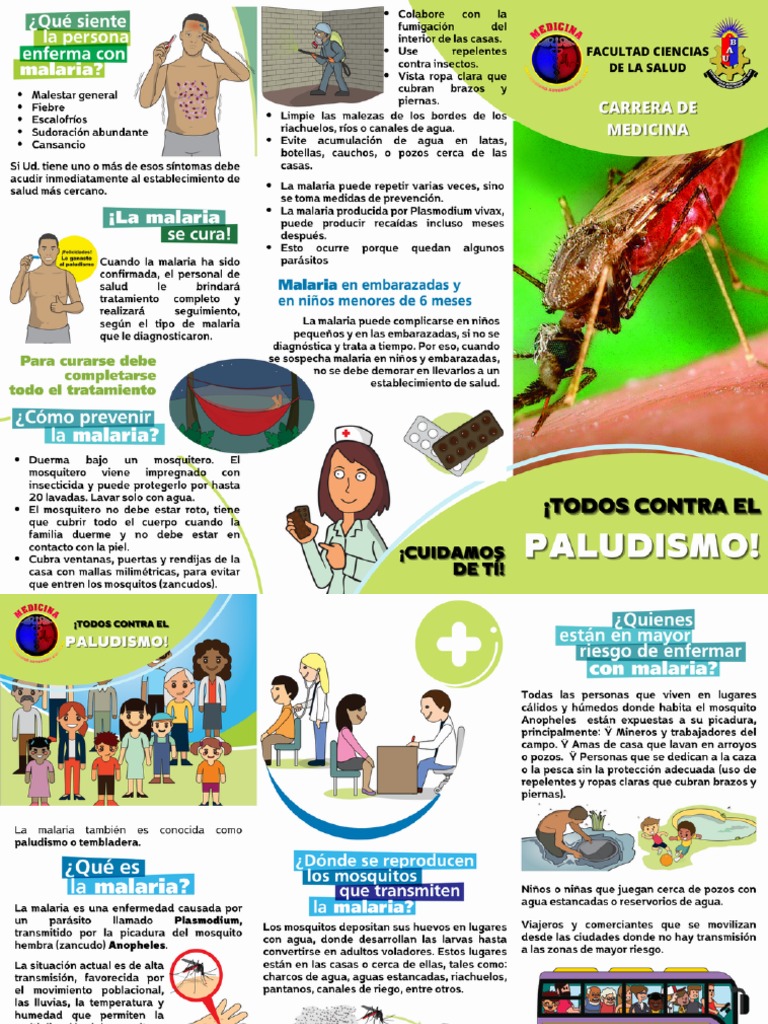 Malaria Triptico 2022 | PDF