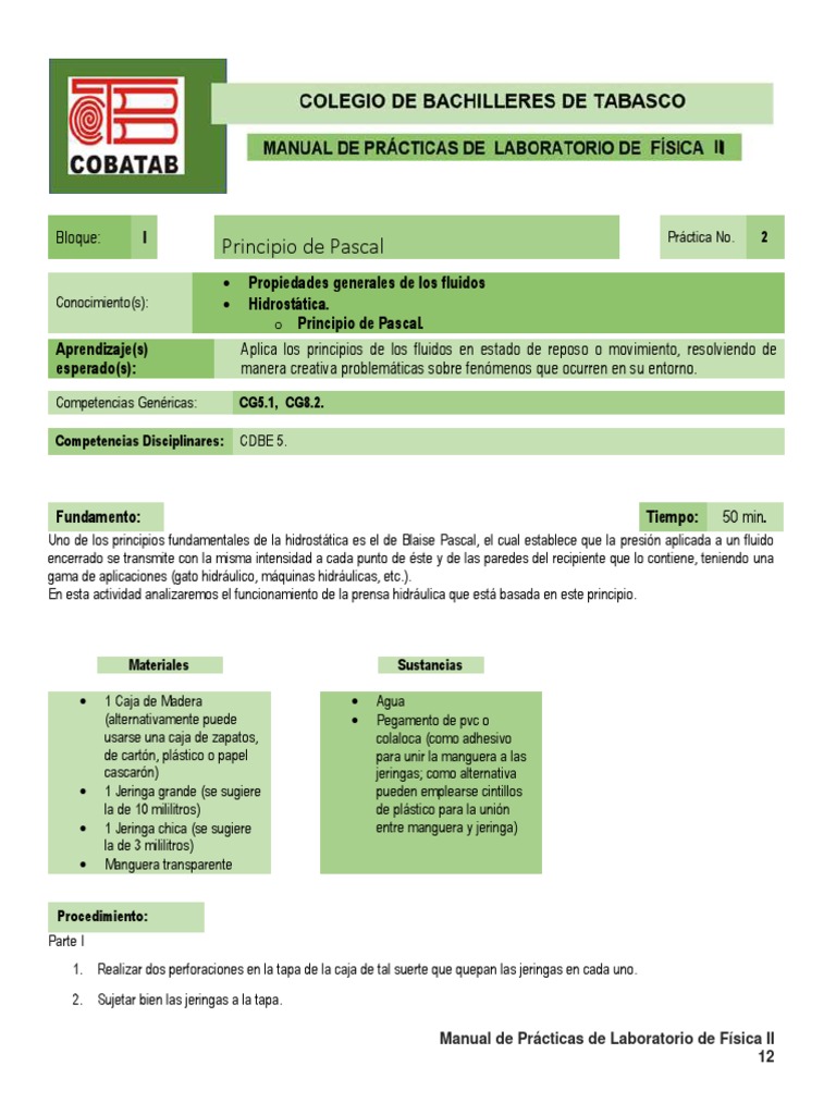 Pr2-Principio de Pscal | PDF | Ciencias fisicas