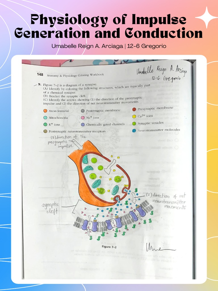 Impulse Generation and Conduction | PDF