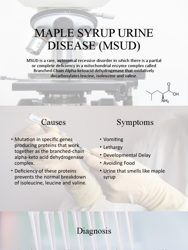Maple Syrup Urine Disease Overview | PDF | Medical Specialties ...