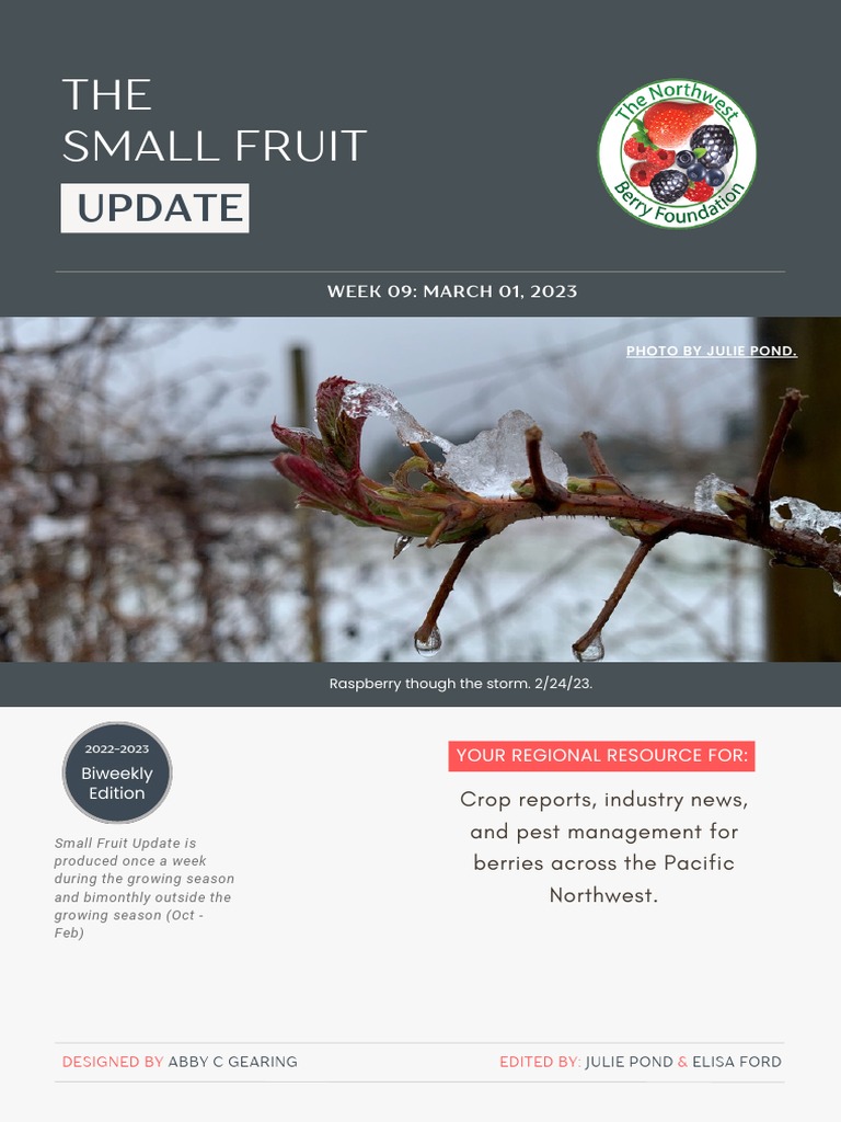 9 Sfu 3-1-2023 | PDF | Berry | Blueberry