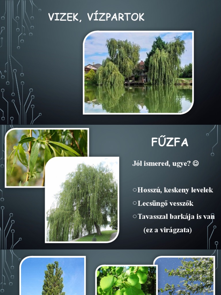 Vizek Vízpartok | PDF