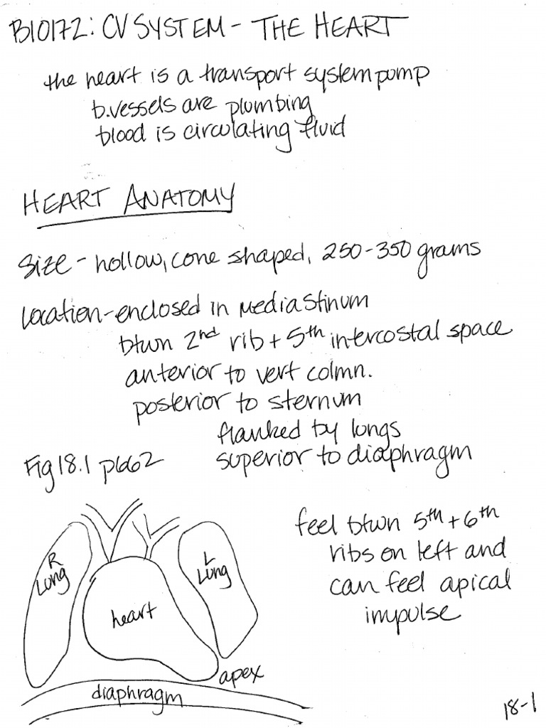 Heart Notes | PDF