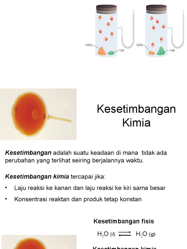 Kesetimbangan Kimia | PDF