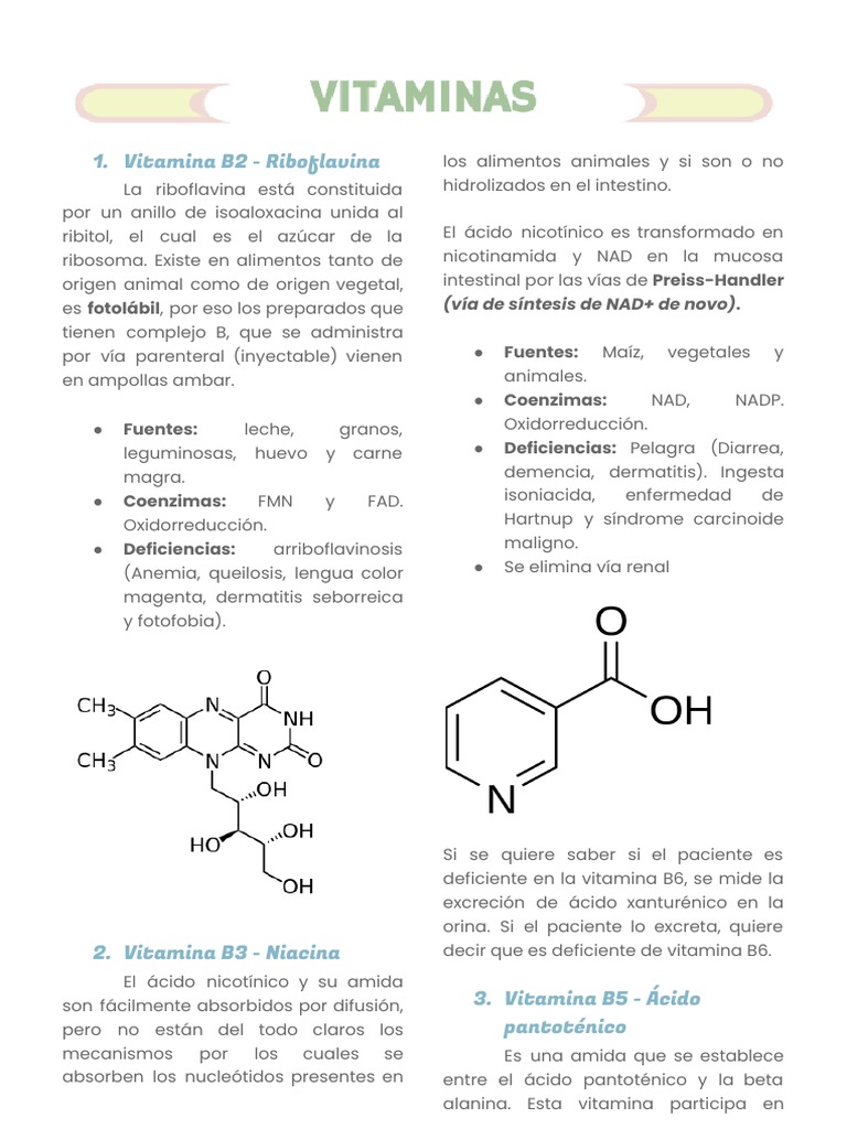 Bioquímica - Vitaminas | PDF | Vitamina C | Productos naturales