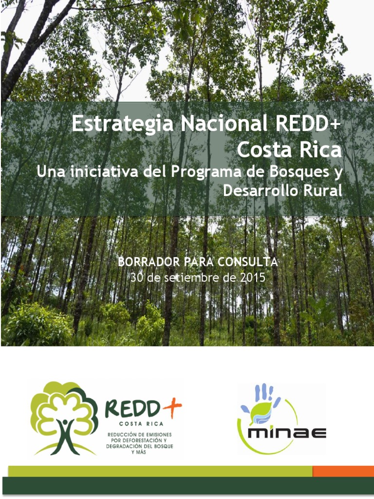8-Costa Rica Borrador de La Estrategia Nacional REDD+Spanish V 30 Sept ...