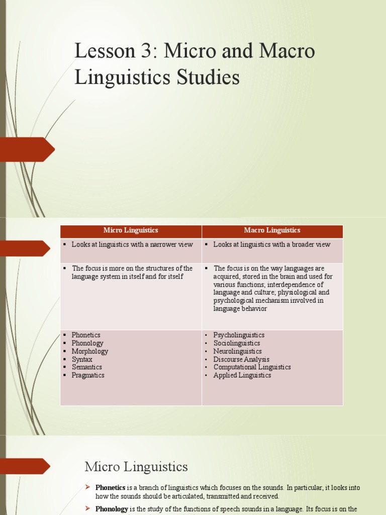 Micro vs. Macro Linguistics Overview | PDF | Linguistics ...