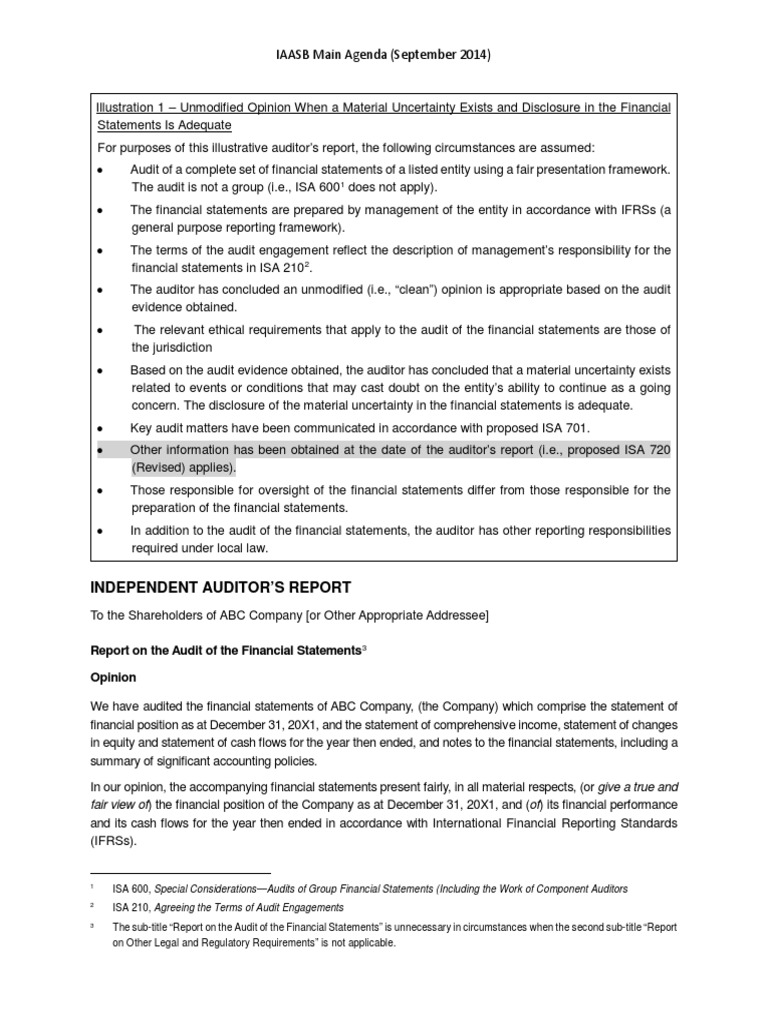 Auditor's Report on Financial Statements | PDF | Financial Audit ...
