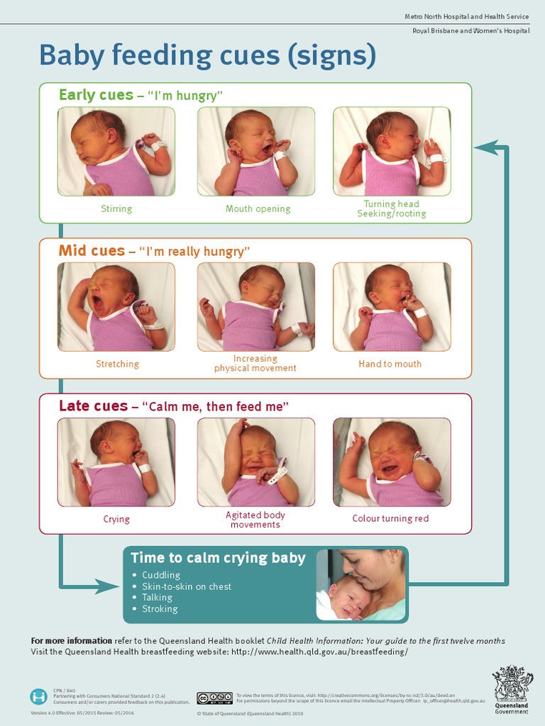 Feeding Cues Infographic | PDF | Infant Feeding | Health Care