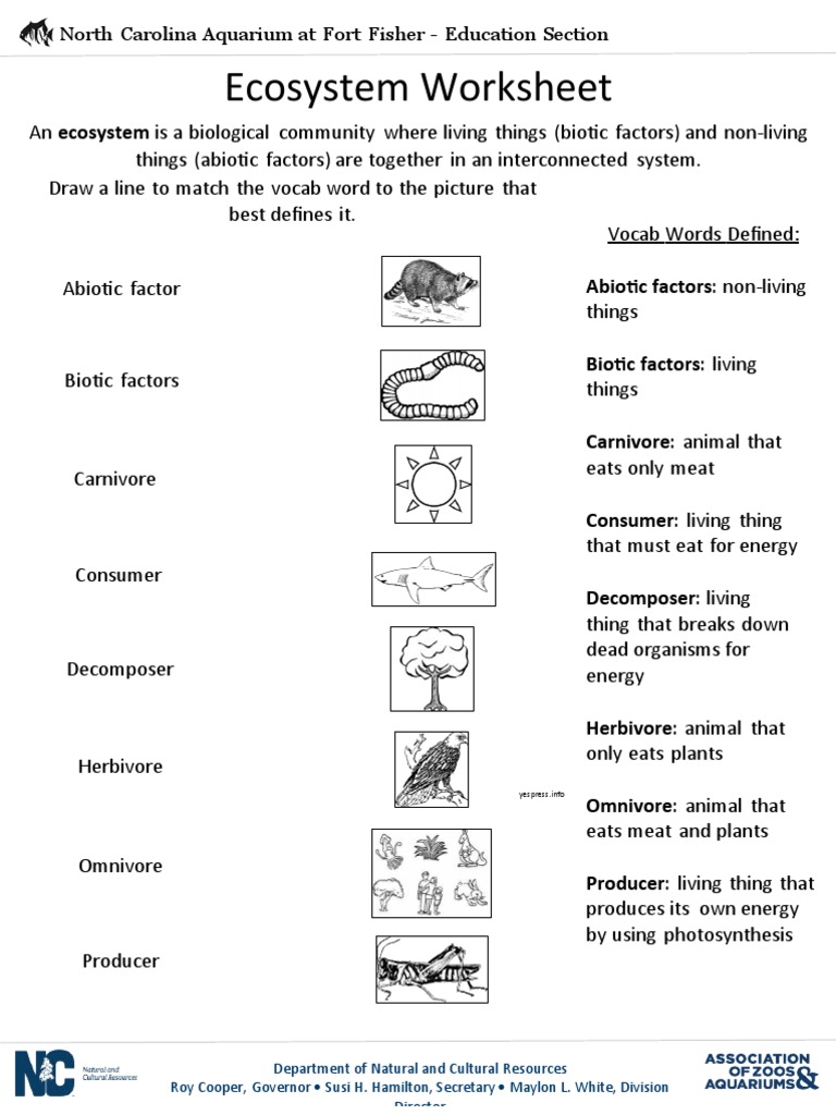 Biotic And Abiotic Worksheet