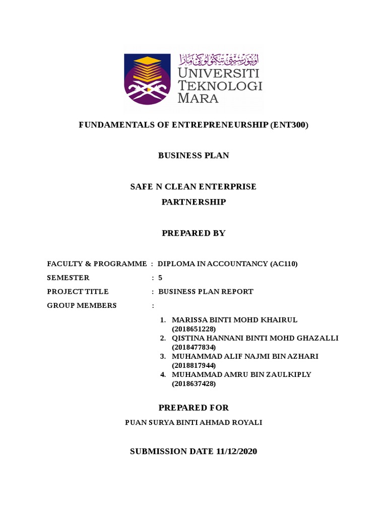 Ent300 Business Plan Report | Download Free PDF | Marketing | Market Segmentation