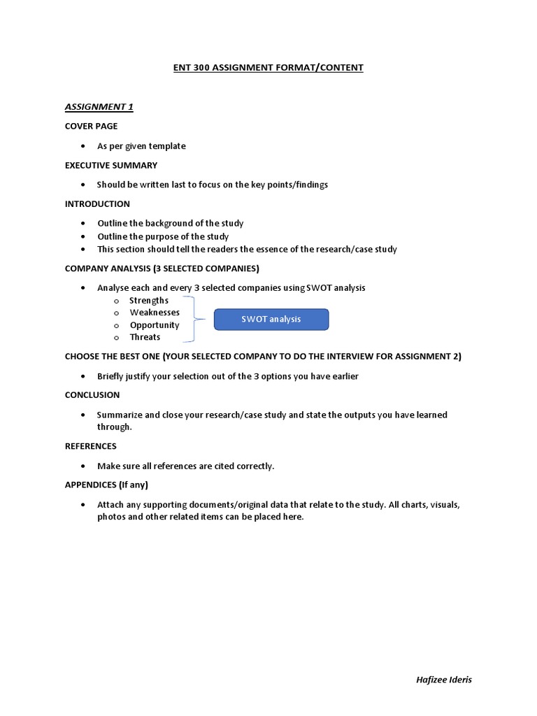 ENT 300 (Assignment 1 & 2) | PDF | Swot Analysis | Cognitive Science