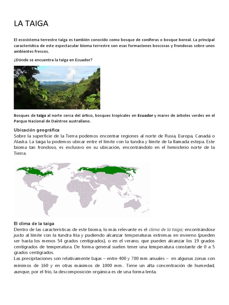 Características y ubicación de la taiga | PDF | Ciencias de la Tierra ...