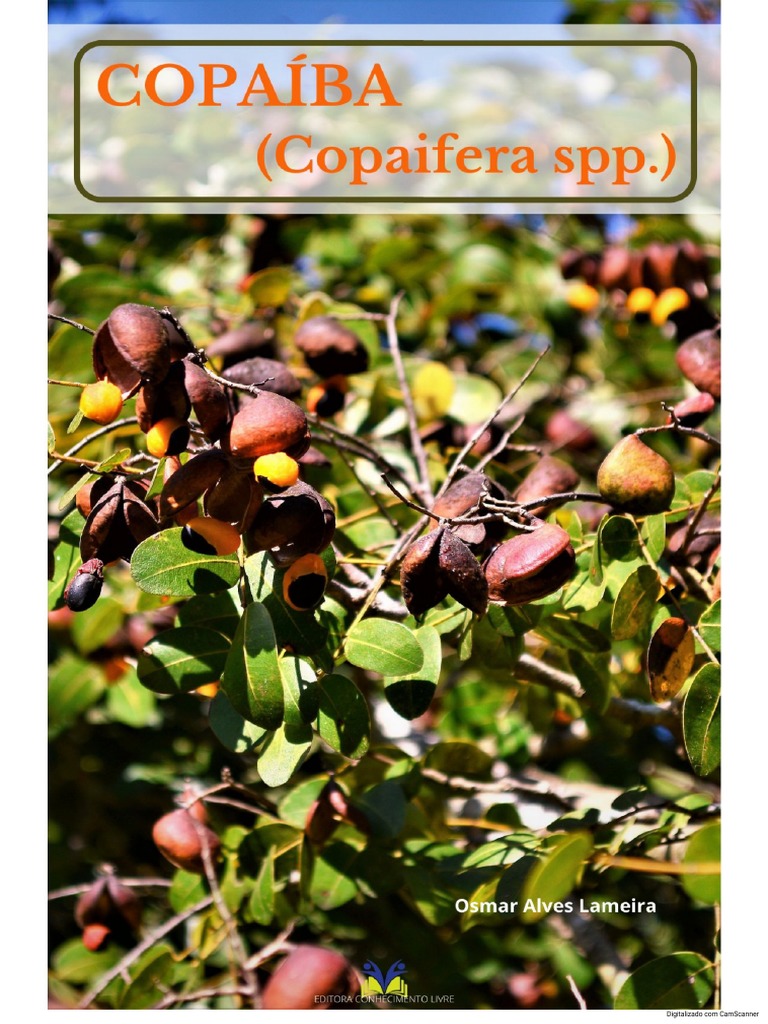 Livro Copaiba 2023 | PDF