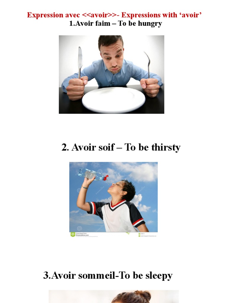 Expressions Avec AVOIR | PDF