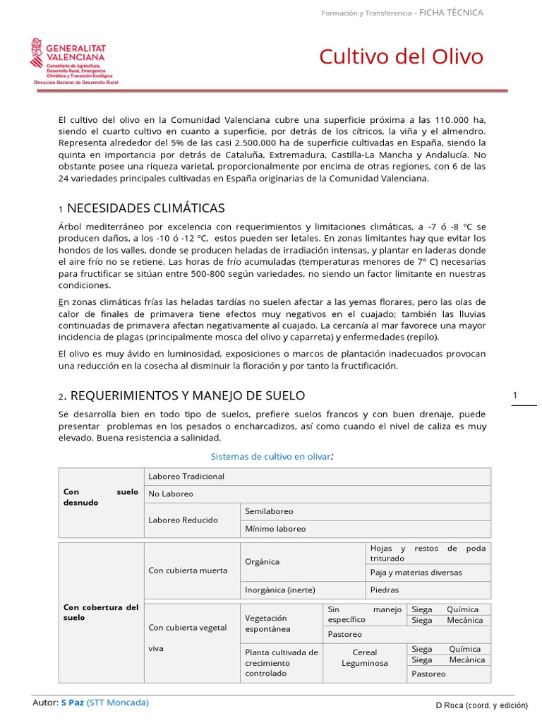 CULTIVO DEL OLIVO. Ficha Técnica | PDF | Aceituna | Fertilizante